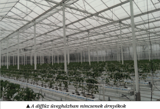 Árnyék nélkül - Magyar Mezőgazdaság