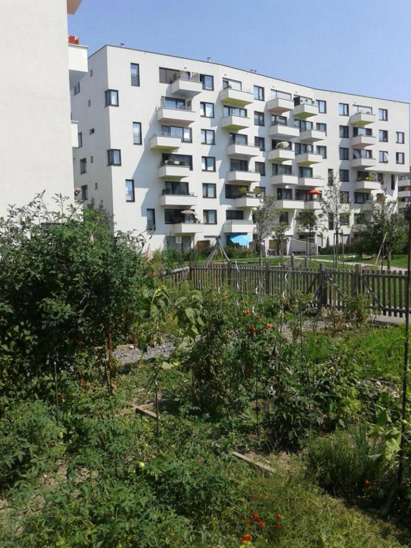 Kiskertek a világ legélhetőbb városának közepén - Magyar Mezőgazdaság