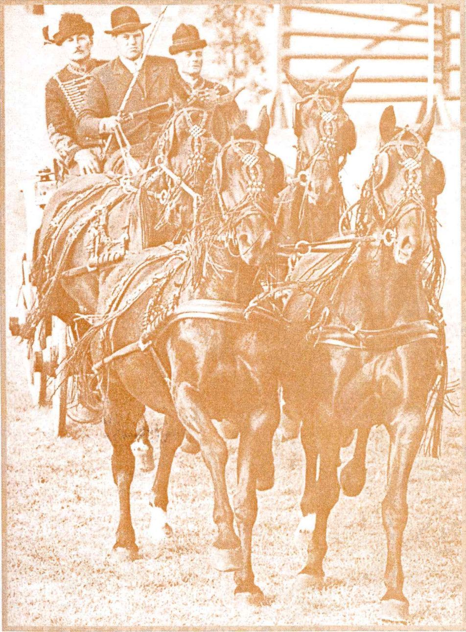 Elismerések és sikerek Mezőhegyesen - Magyar Mezőgazdaság