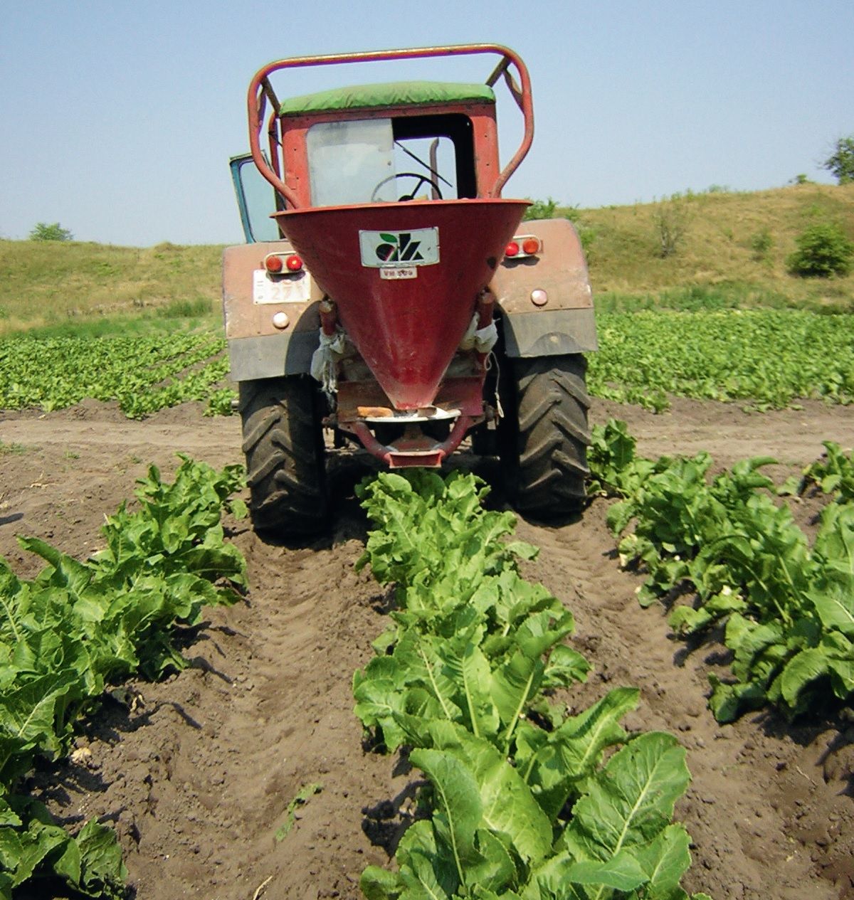 Kell a magyar torma - Magyar Mezőgazdaság