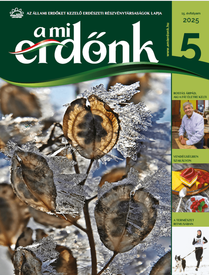 Erdésznek az erdő, mint hívőnek a templom - Magyar Mezőgazdaság