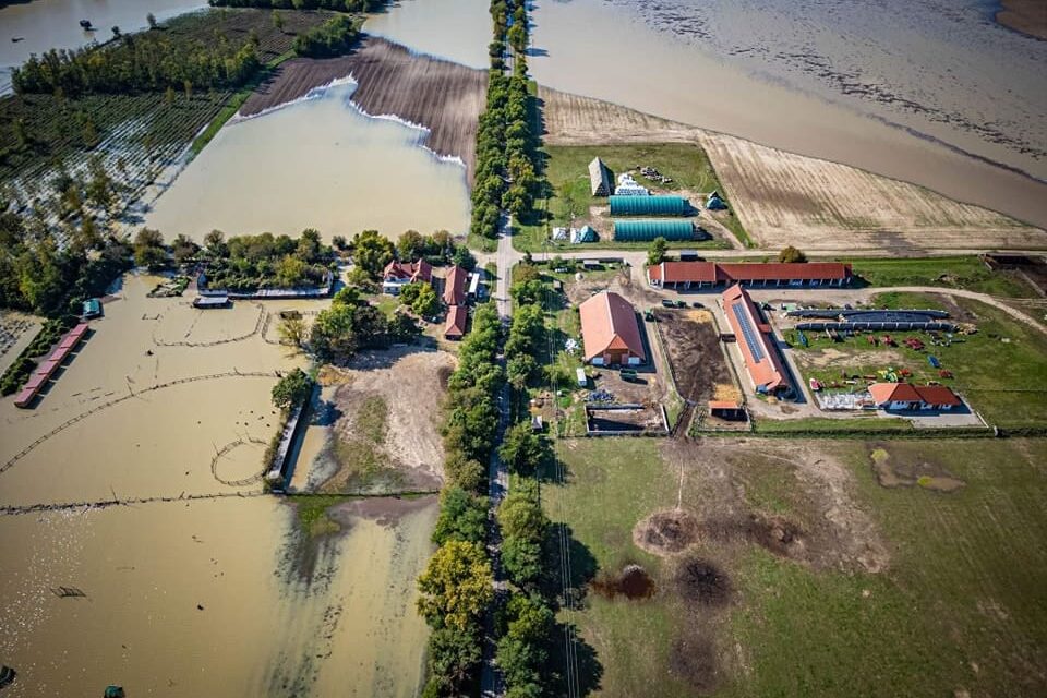 Víz be, lovak ki - a Halápi Ranch harca a természettel - Magyar ...
