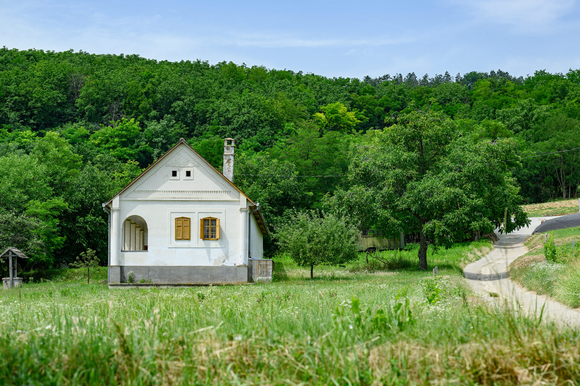 A falu nem a múlt, hanem a jövő - Magyar Mezőgazdaság