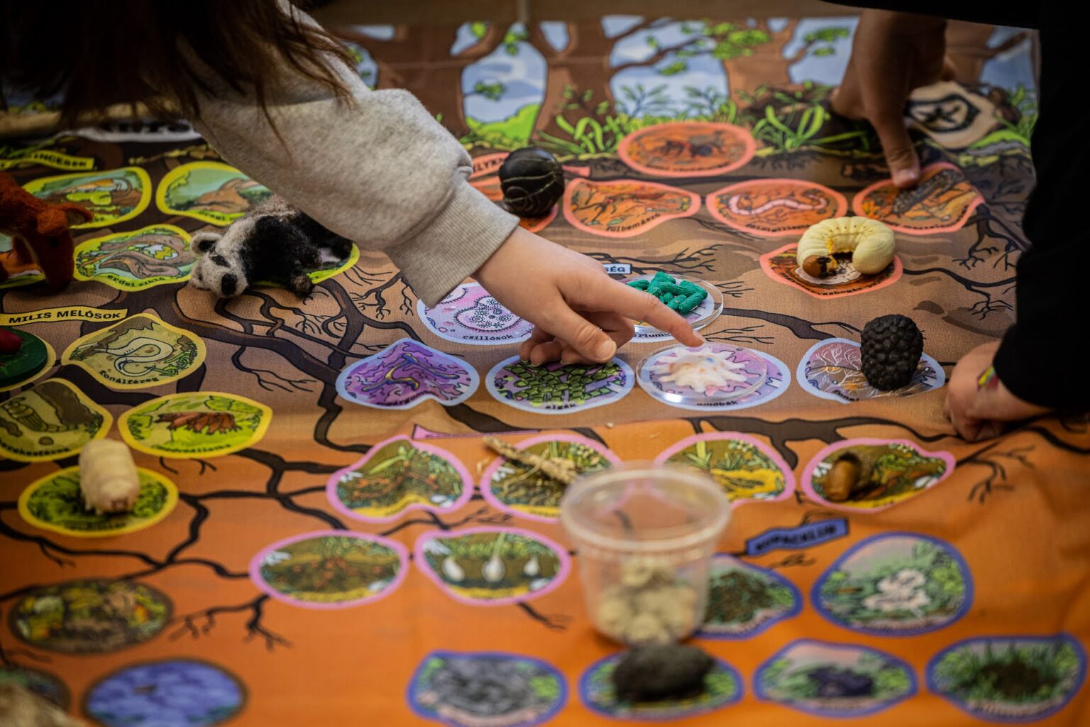 Indul a regisztráció az őszi Iskolában az Erdő Programra - Magyar ...
