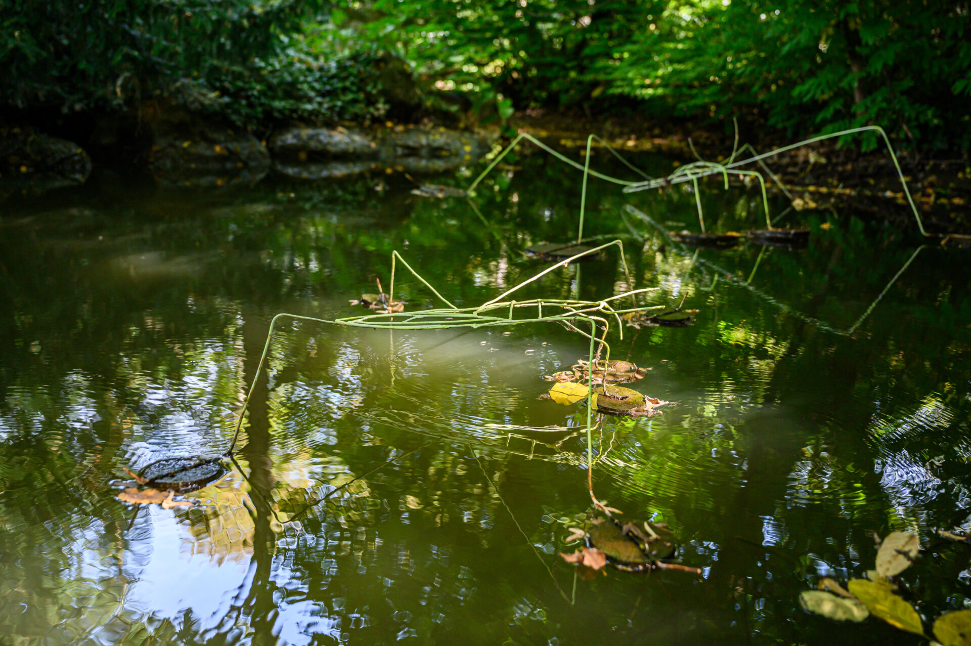 Természet a művészetben – művészet a természetben - Oldal 2 a 3-ből ...